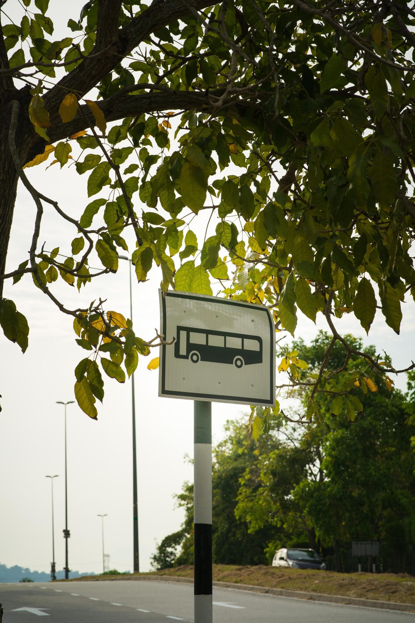 College Transport - Stamford College