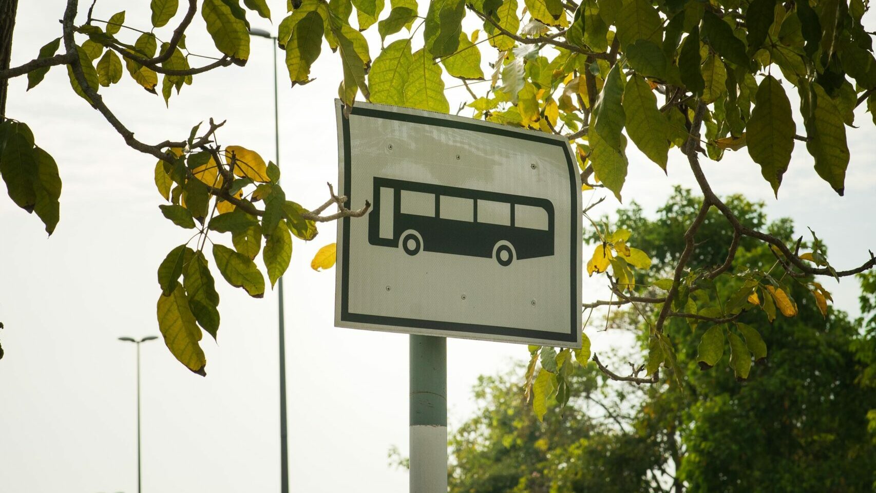 College Transport - Stamford College