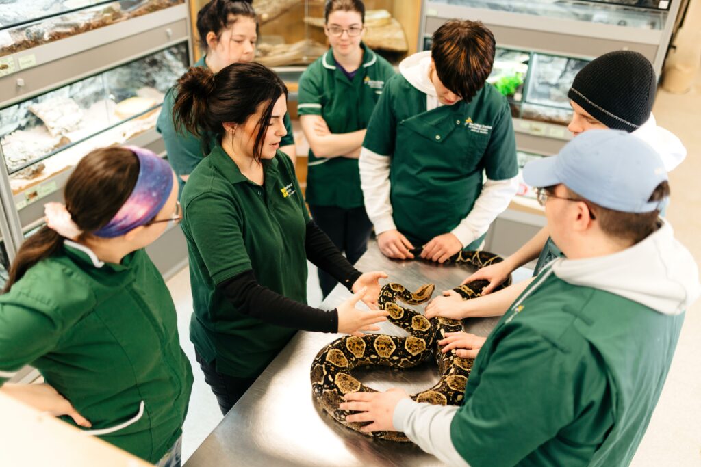Animal Care - Stamford College