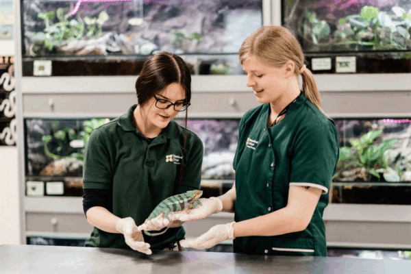 Level 2 Certificate in Animal Care - Stamford College